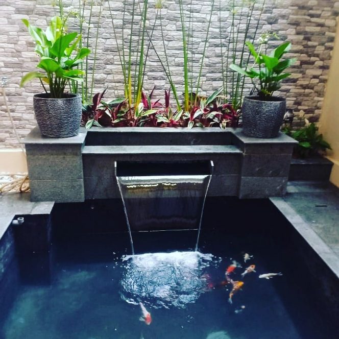 5 Keuntungan Memiliki Kolam Ikan di Rumah, Bisa Hilangkan Stress